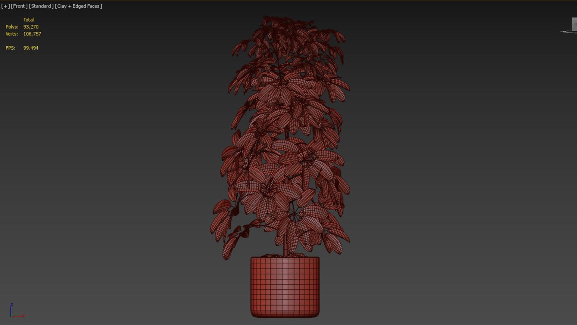 3D Model Schefflera Arboricola-01 - TurboSquid 1981306