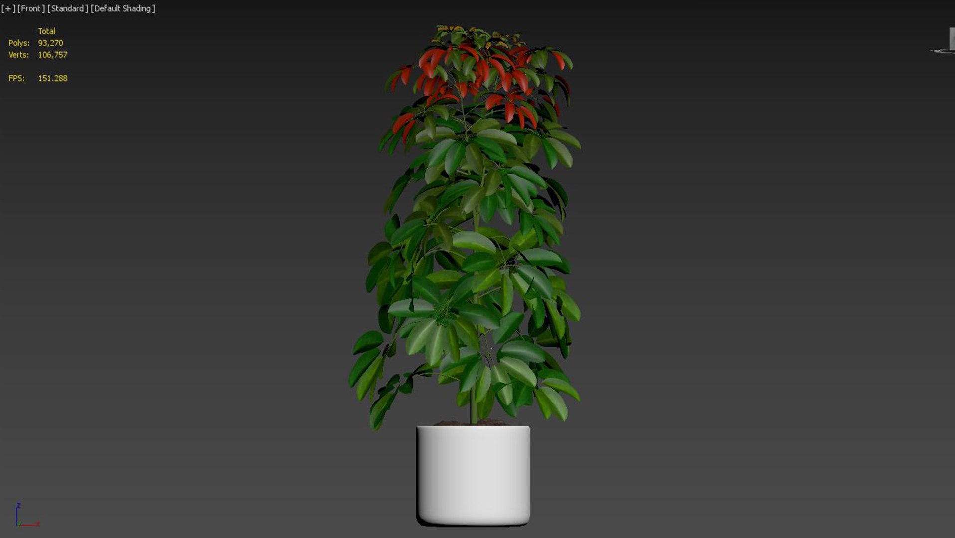 3D Model Schefflera Arboricola-01 - TurboSquid 1981306