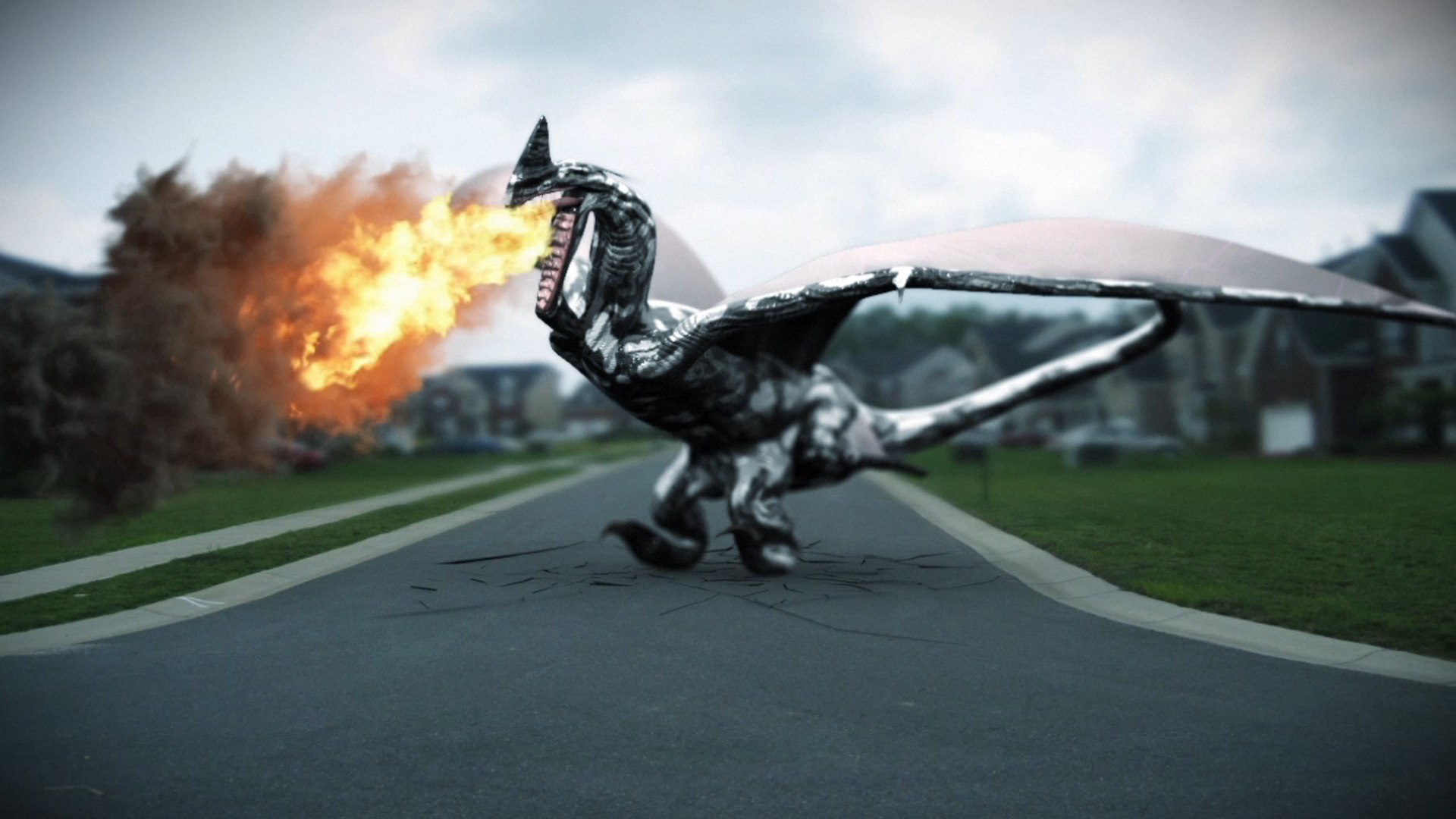 Max Dragon Rigged Animation
