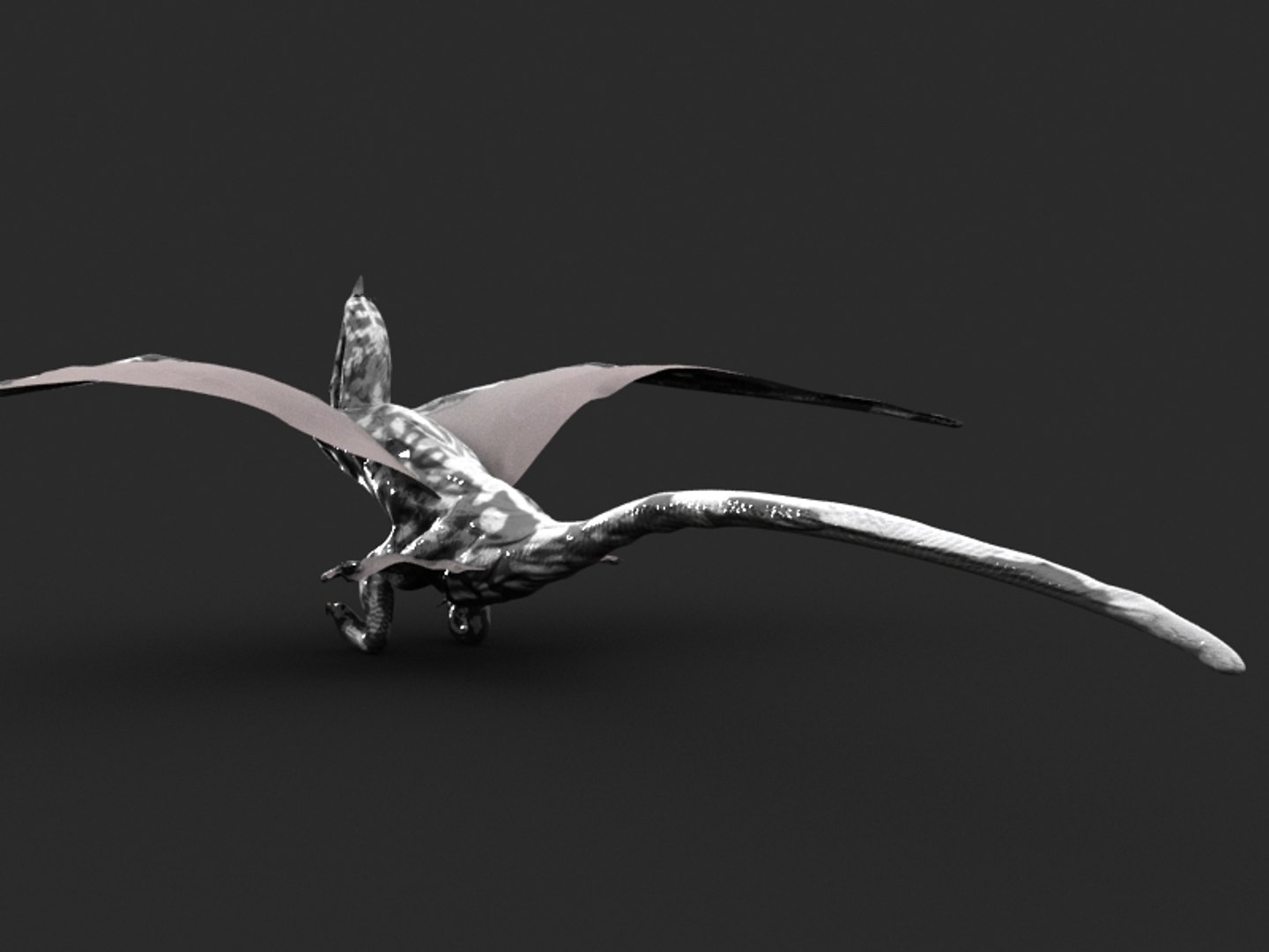 Max Dragon Rigged Animation