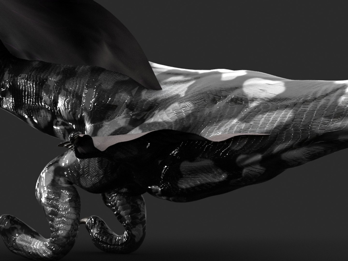 Max Dragon Rigged Animation