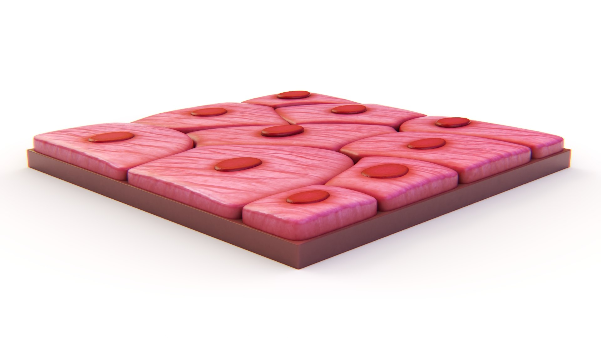 3D Squamous Epithelium For 3D Print - TurboSquid 2343814