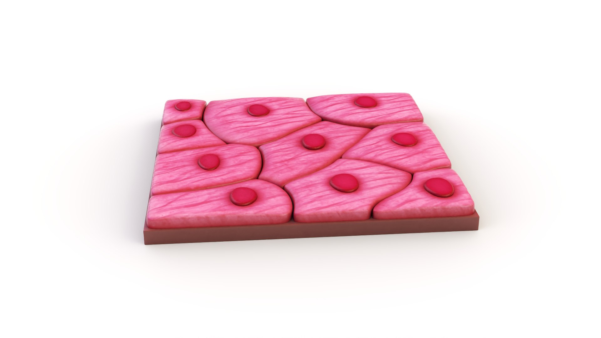 3D Squamous Epithelium For 3D Print - TurboSquid 2343814