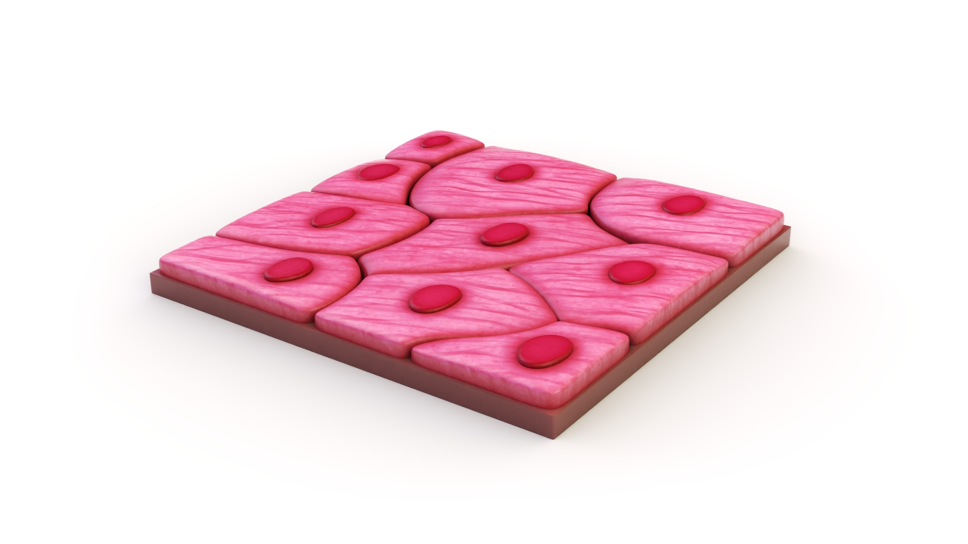 3D Squamous Epithelium For 3D Print - TurboSquid 2343814