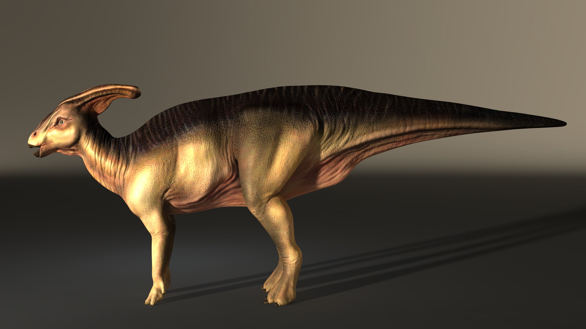 3d Model Of Parasaurolophus