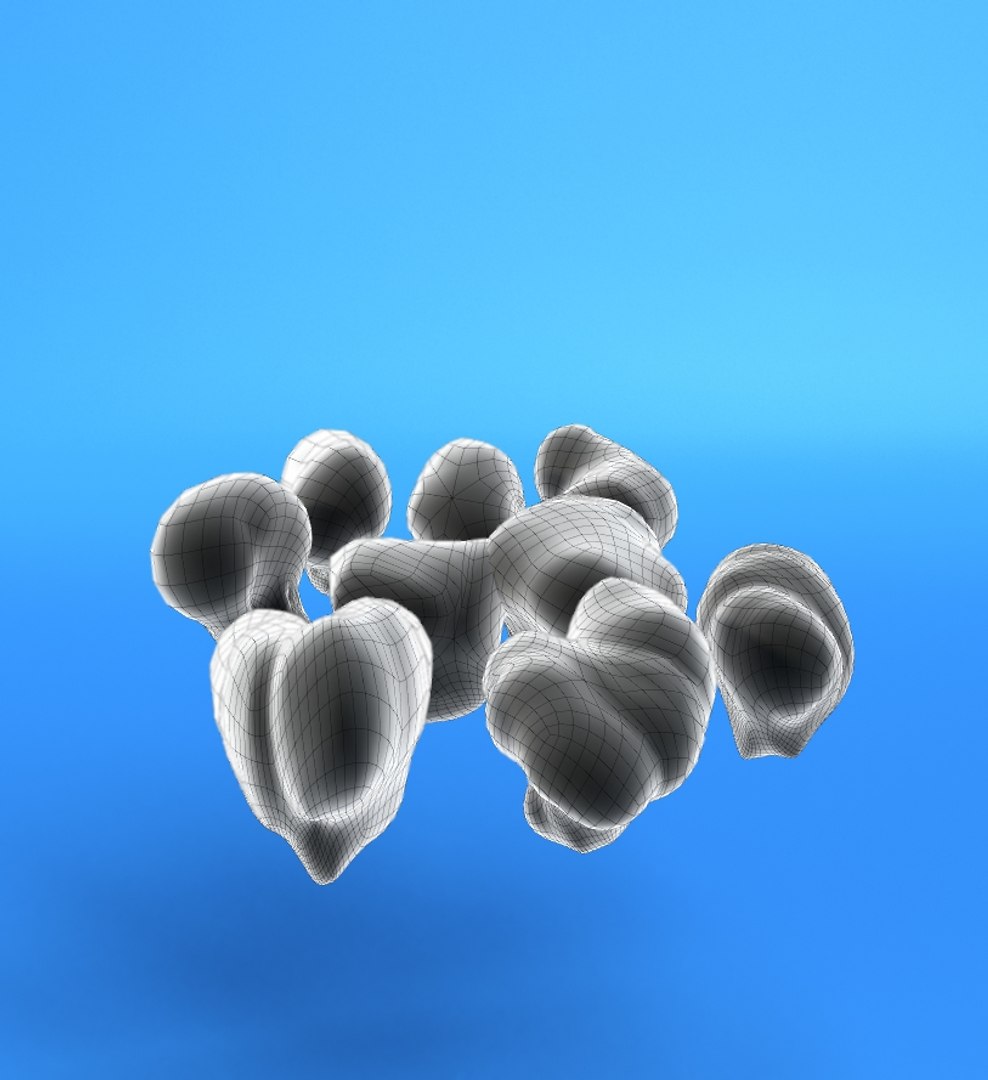 3d Model Stromatolith