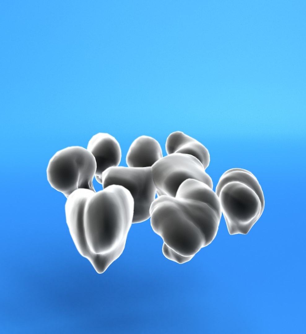 3d Model Stromatolith