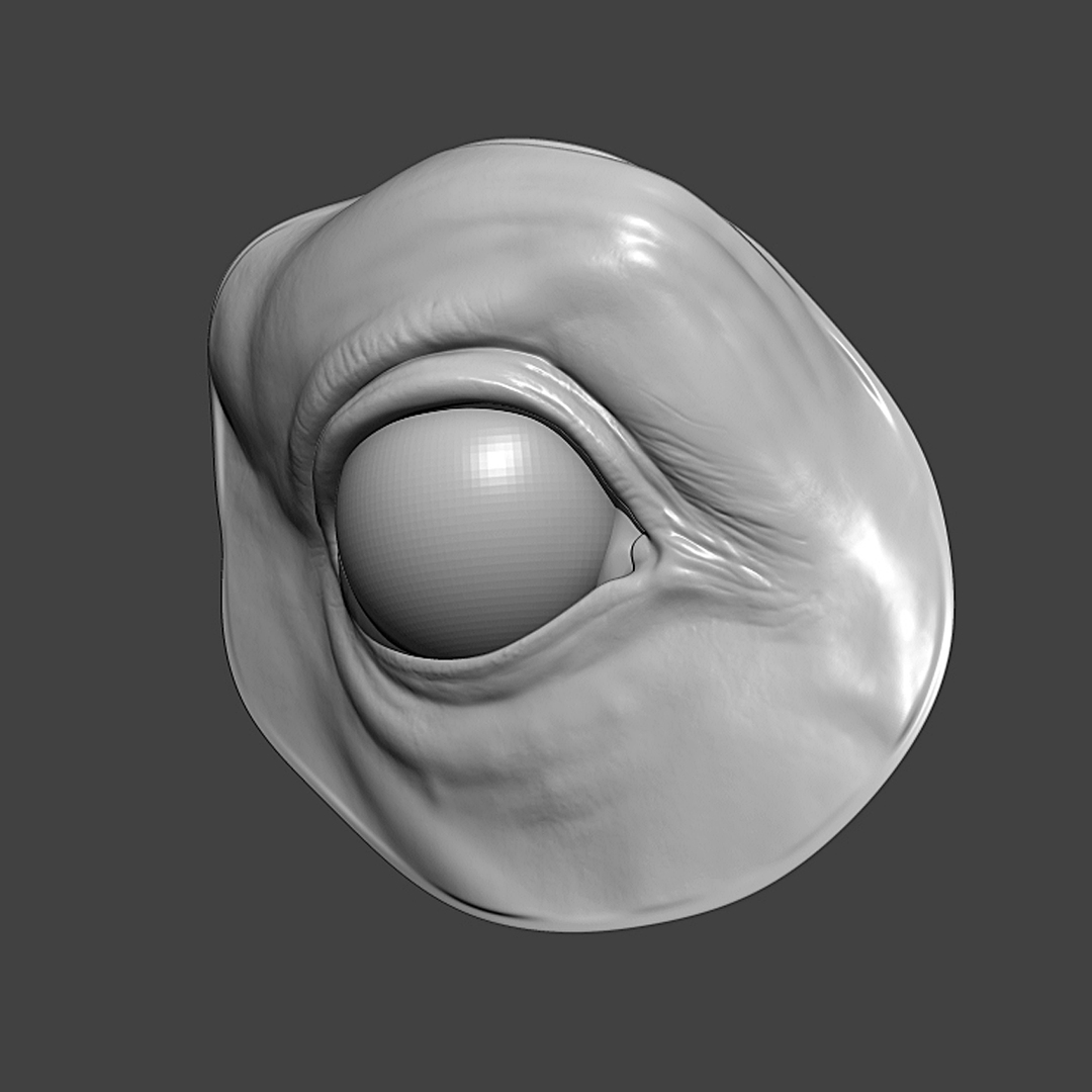 Horse Eye Socket Highpoly Sculpt model - TurboSquid 1808026