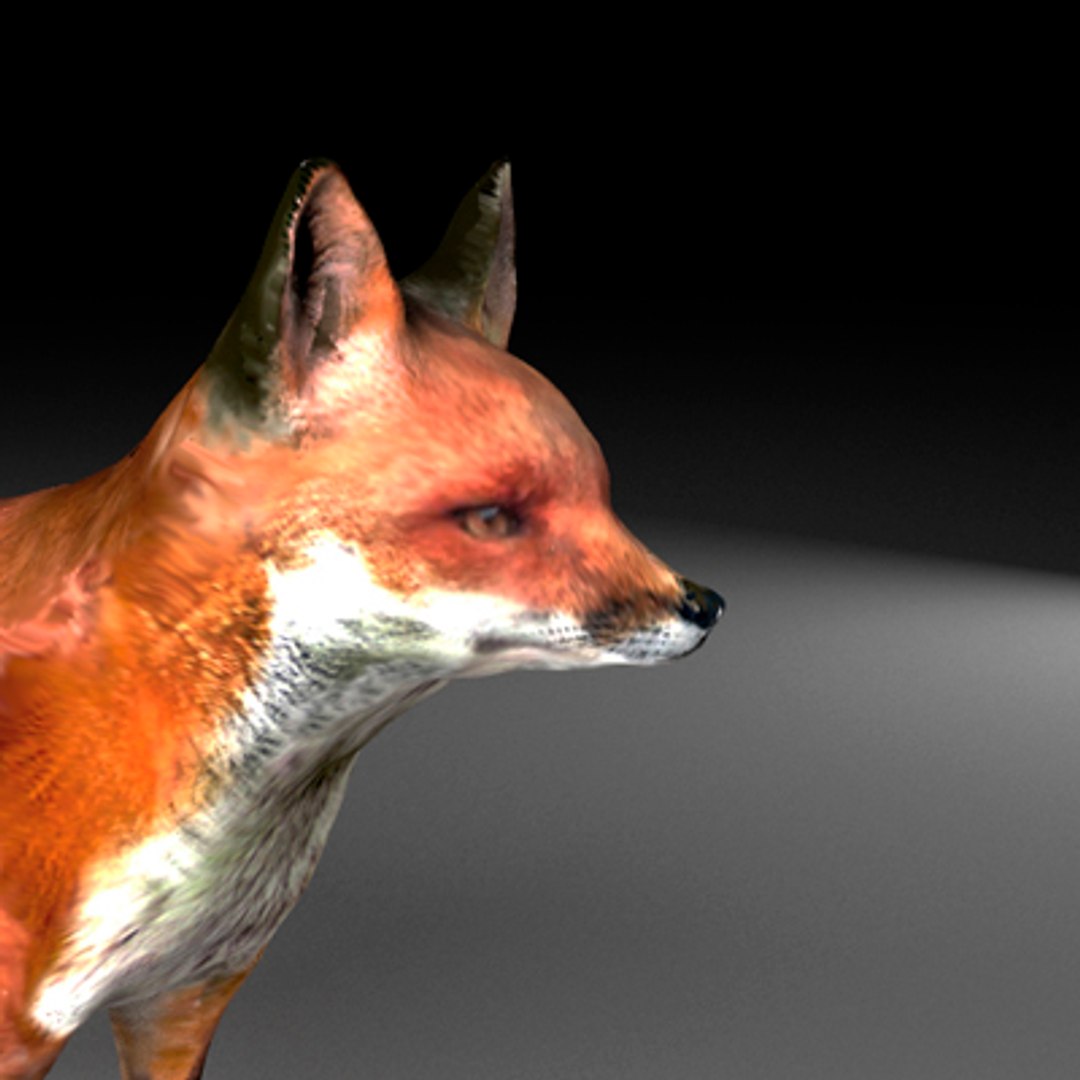 3d Fox Zorro