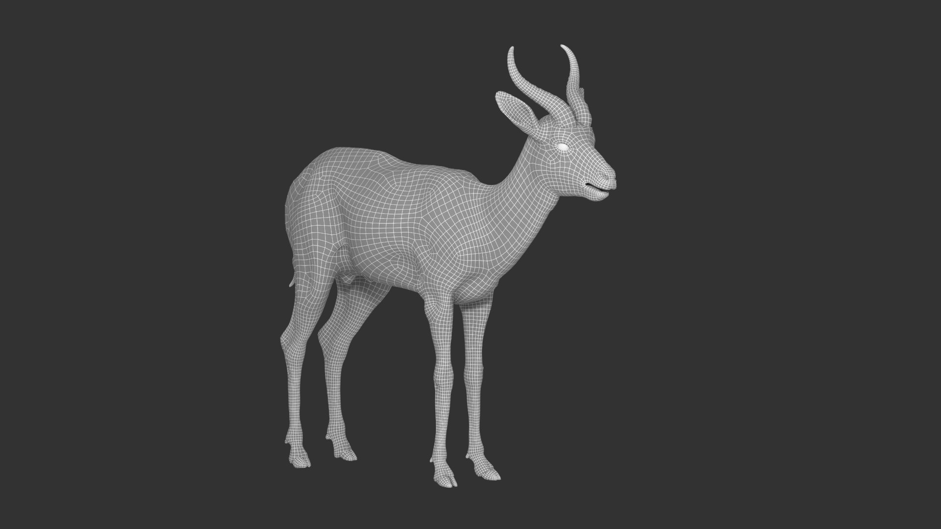 3D Springbok Textured With Fur - TurboSquid 2433574