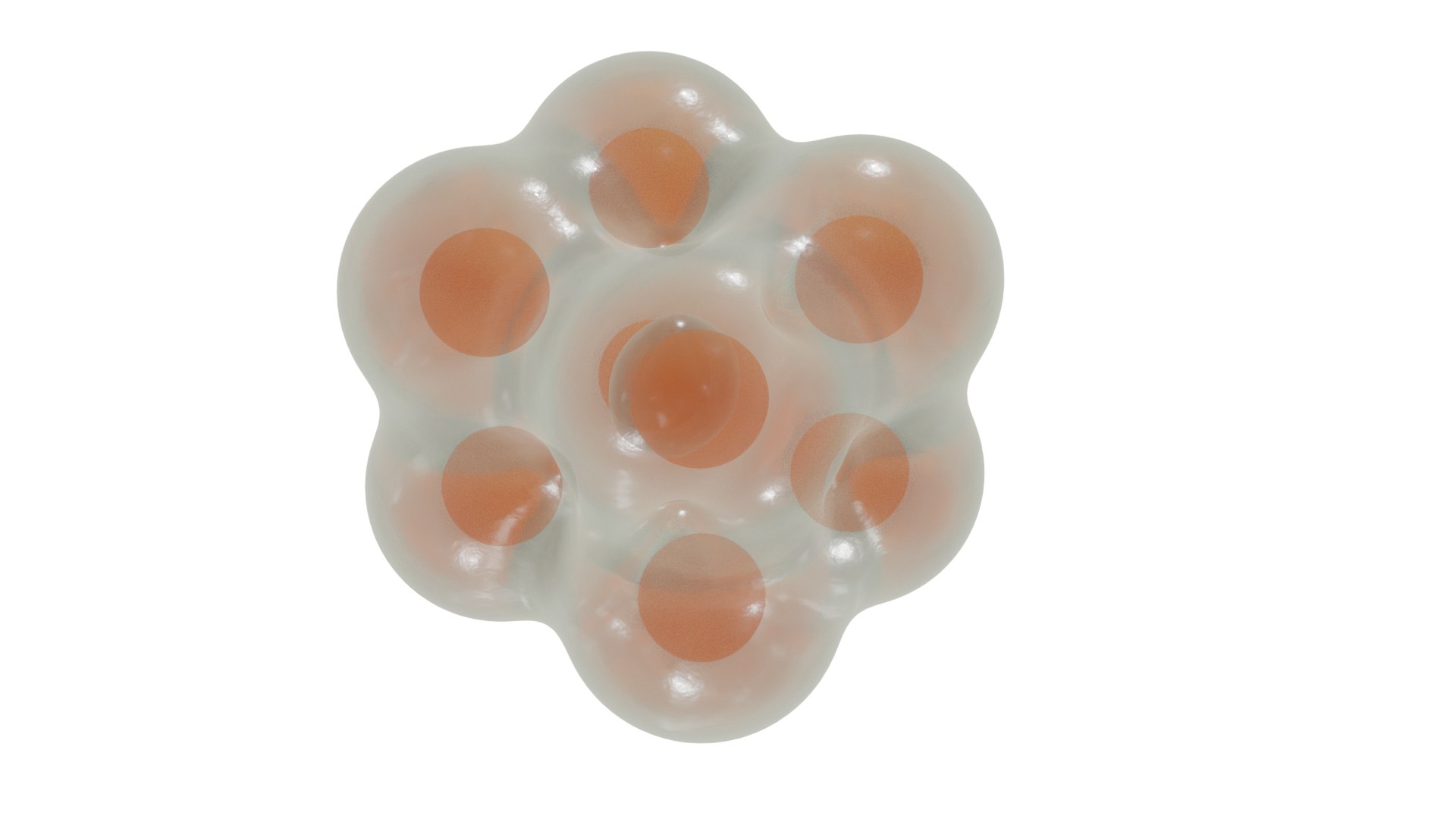 Stages Of Segmentation Of A Fertilized Egg Up To The Gastrula 3D Model ...