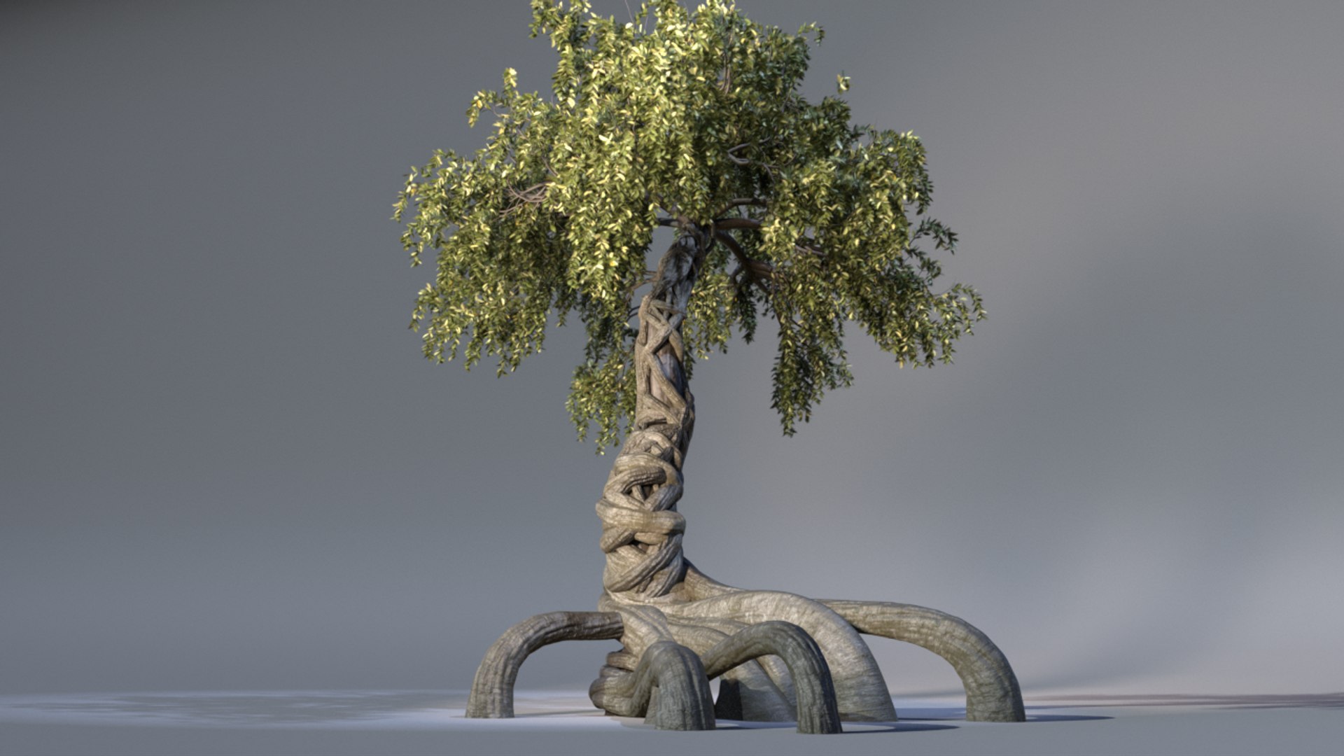 Tree 3D model - TurboSquid 1985218