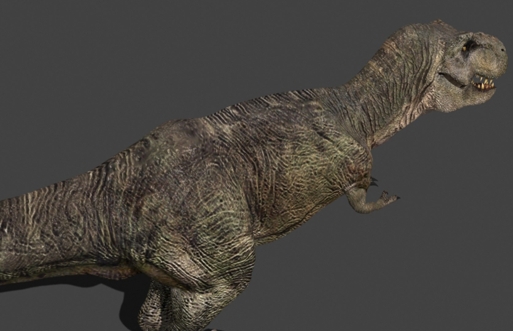 t rex 3d model