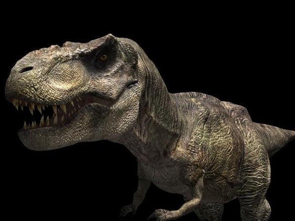 t rex 3d model