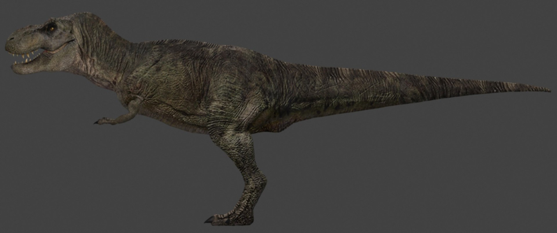 t rex 3d model