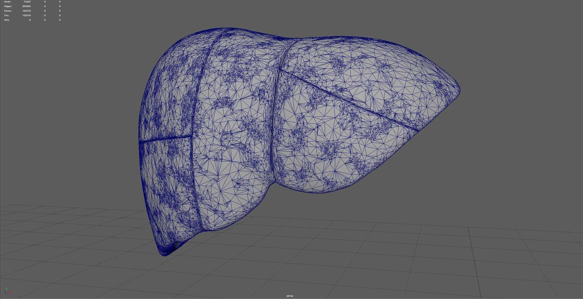 Liver 3D Model - TurboSquid 1834135