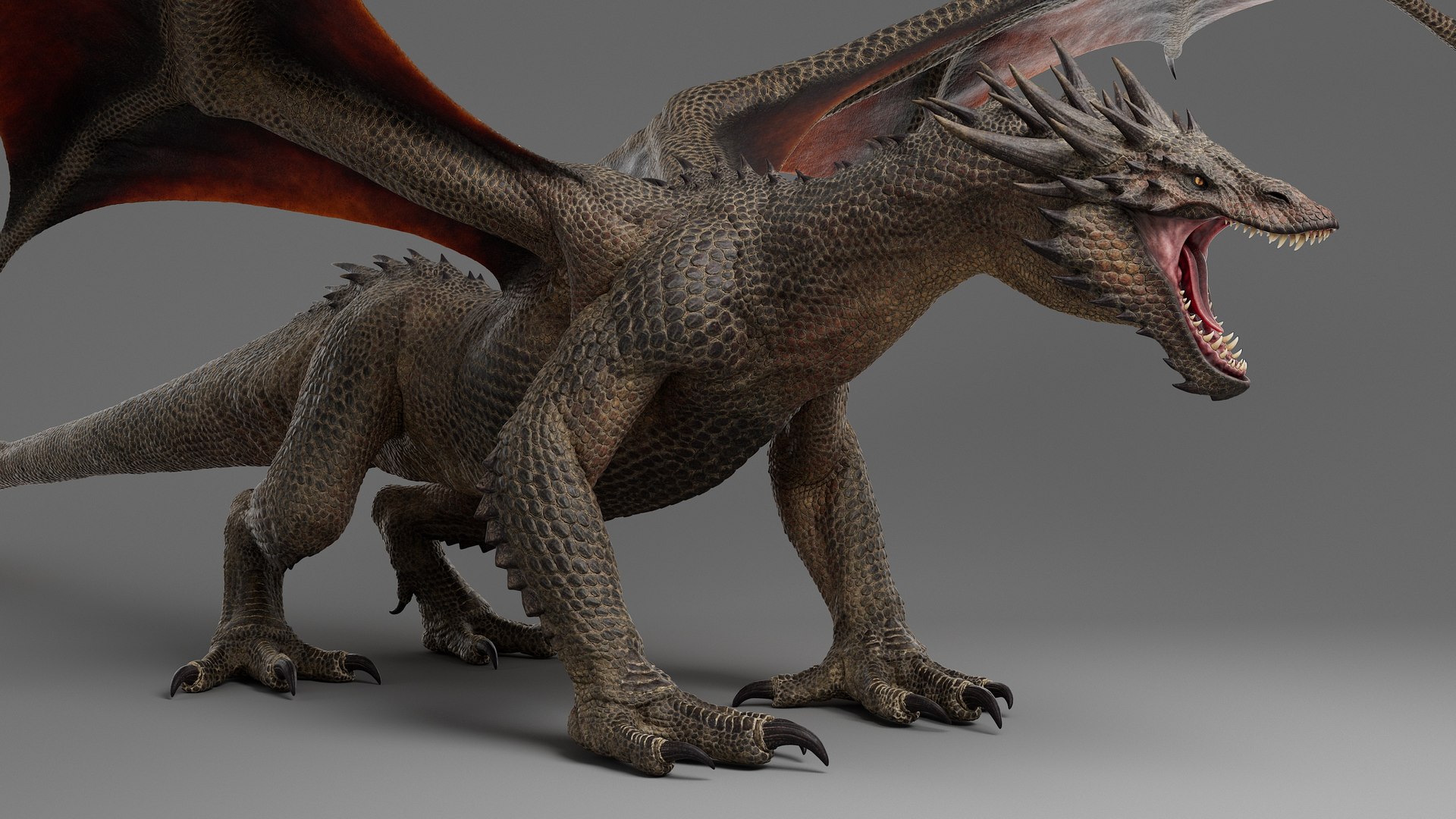 3D Dragon Adult No Rig - TurboSquid 2014073