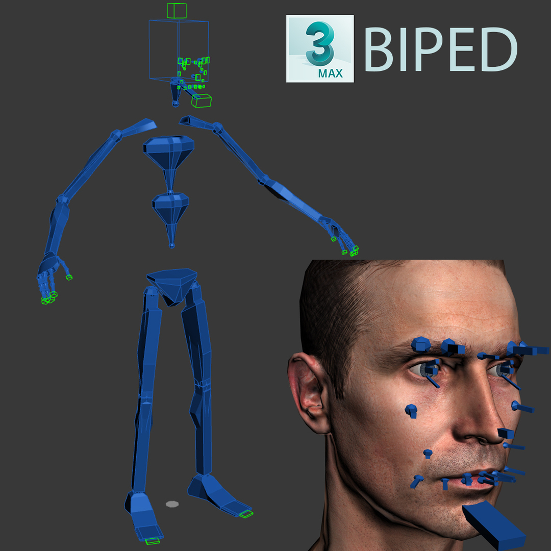 3d safety worker rig