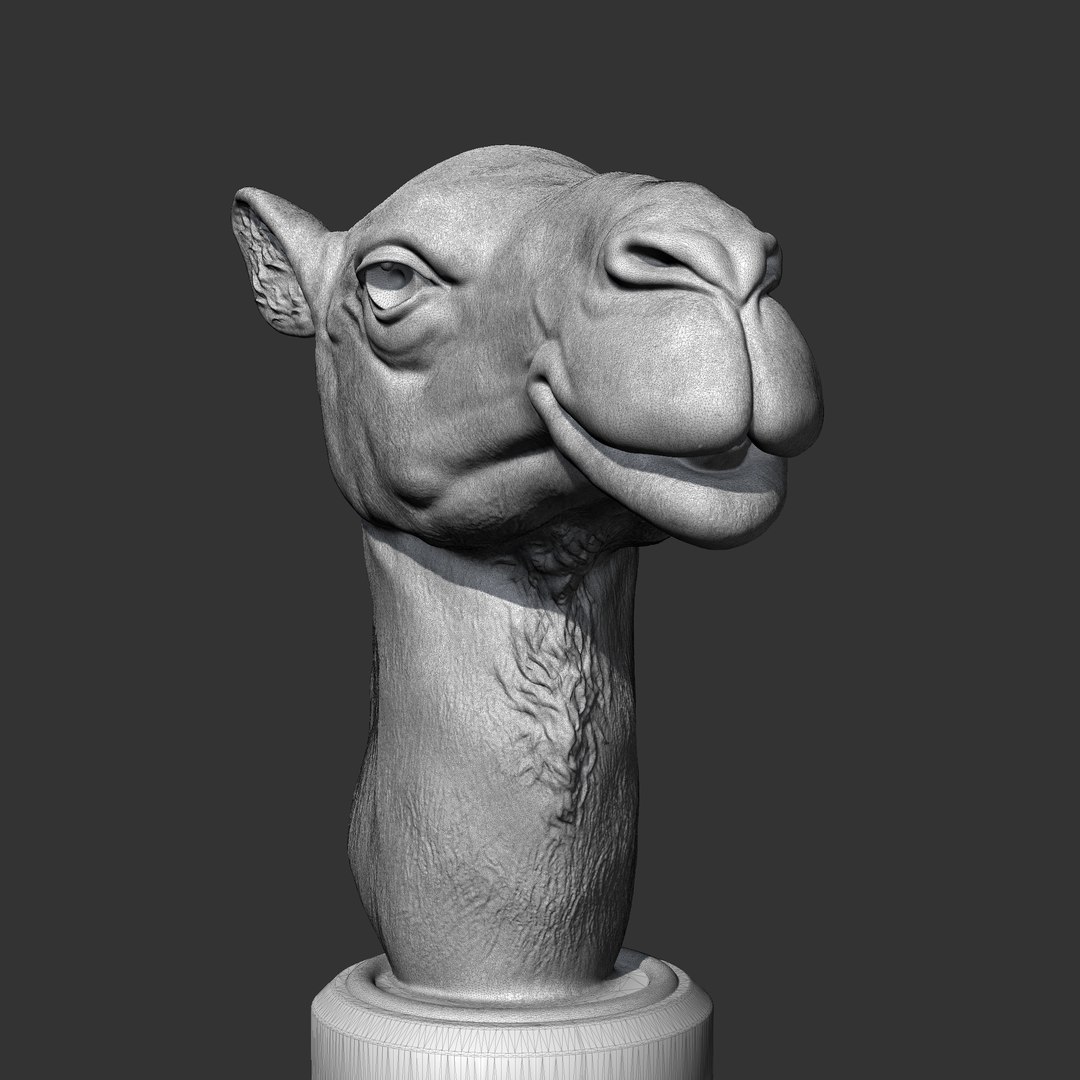 Camel Head AM32 3D Print Model 3D - TurboSquid 2224695
