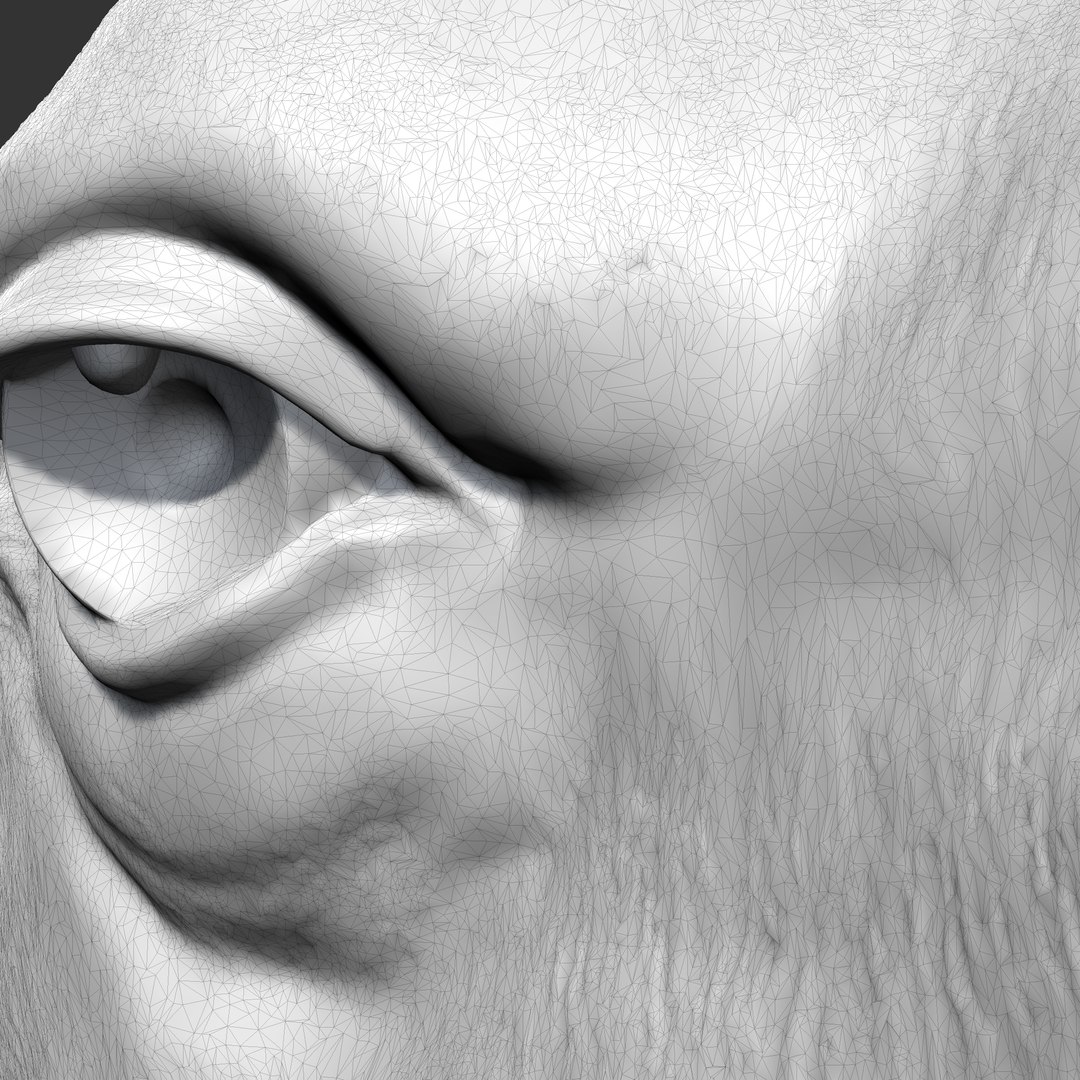 Camel Head AM32 3D Print Model 3D - TurboSquid 2224695