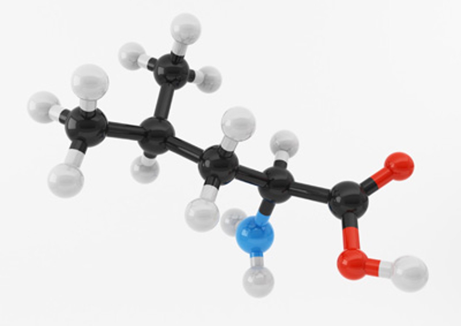 3d Amino Acids Model