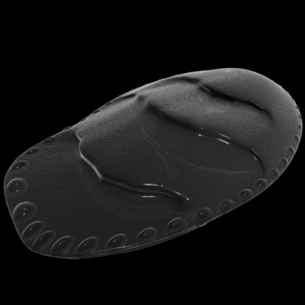 Diatom 3D Models for Download | TurboSquid