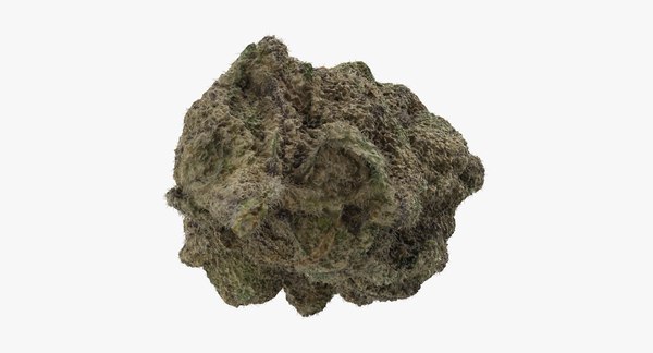 modelo 3d Cogollos de marihuana - TurboSquid 1701854