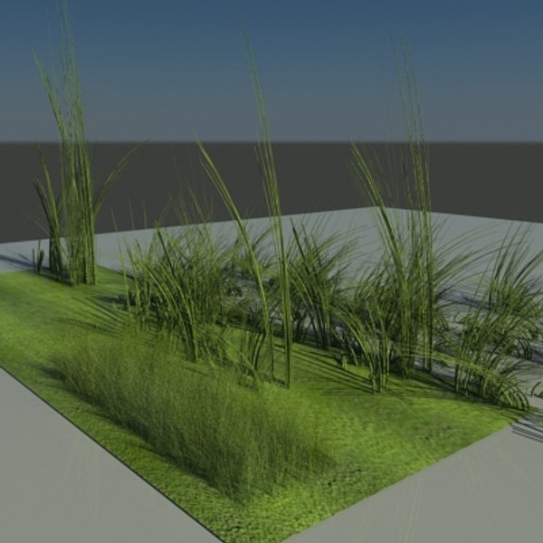 physical green grass 3d max