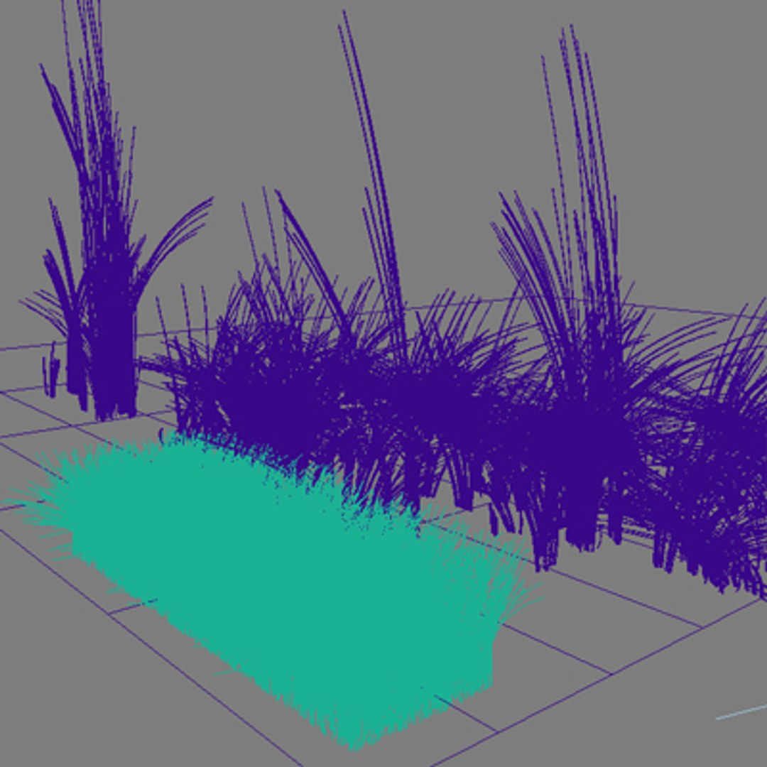 Physical Green Grass 3d Max