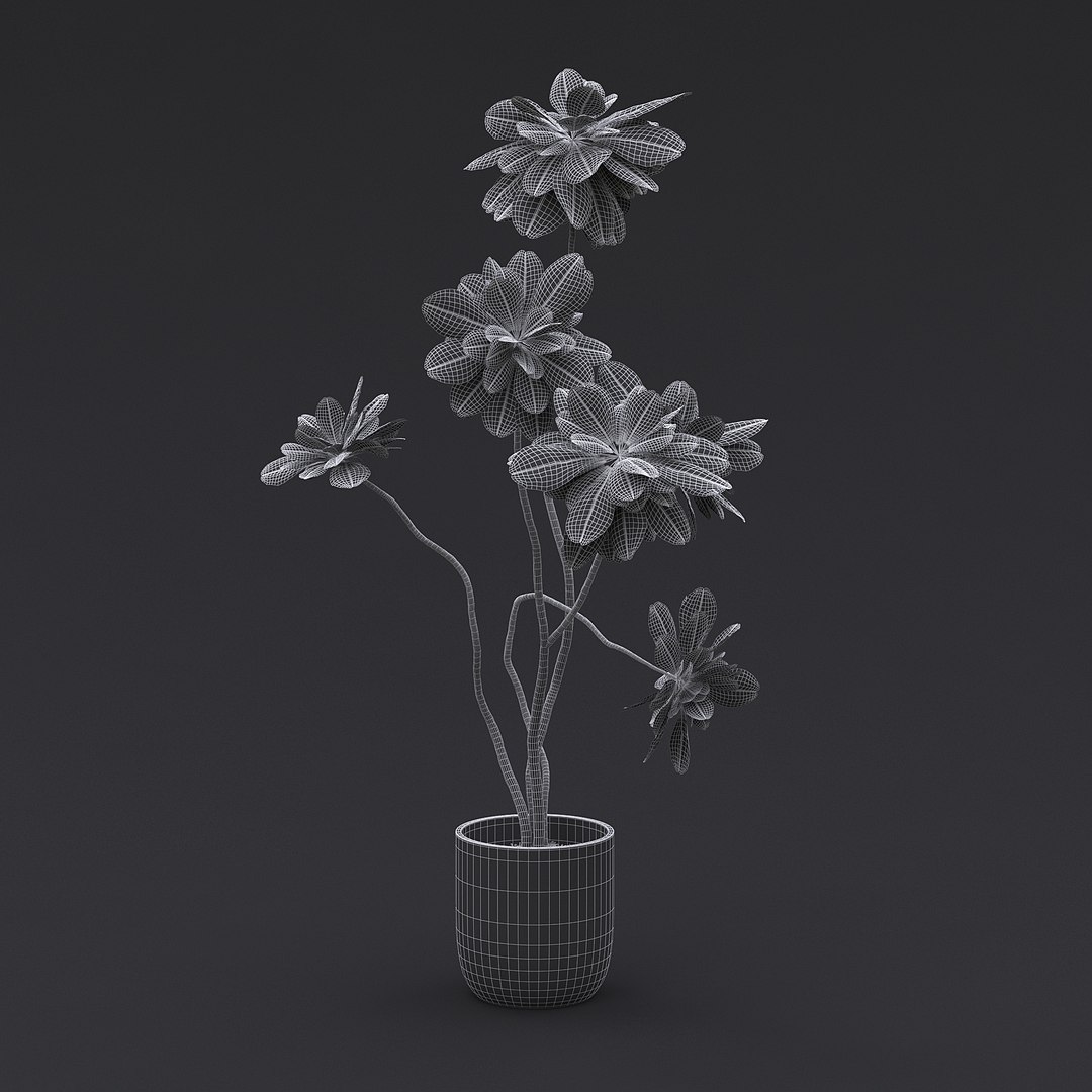 Fiddle Fig Tree I 3D Model - TurboSquid 2111142
