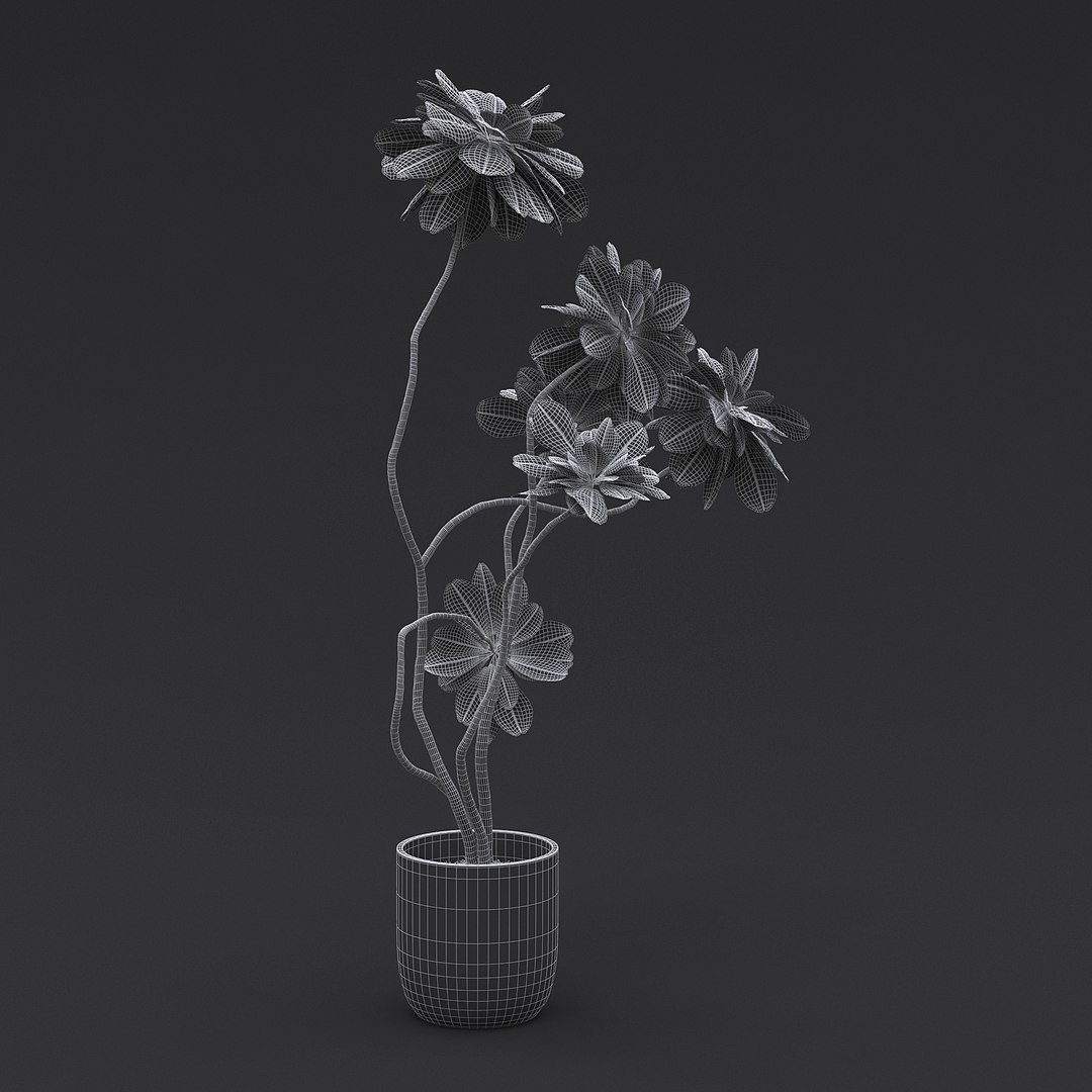 Fiddle Fig Tree I 3D Model - TurboSquid 2111142