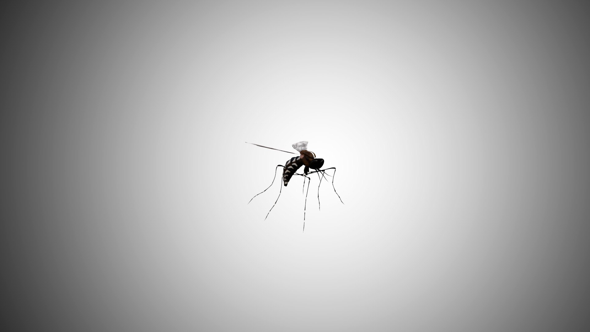 Mosquito Rigged 3D Model - TurboSquid 1594278