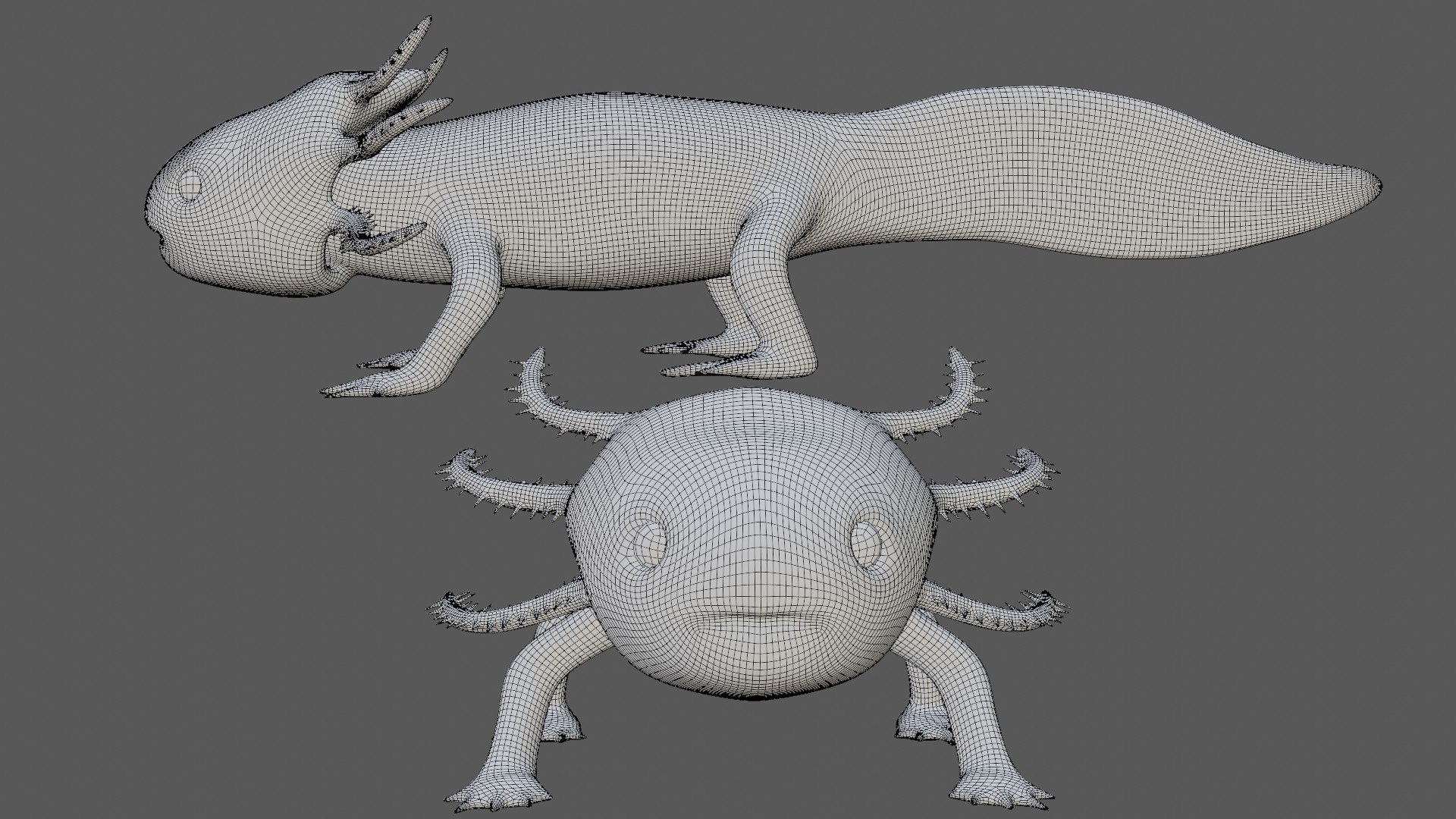 Axolotl 3D Model - TurboSquid 1737422