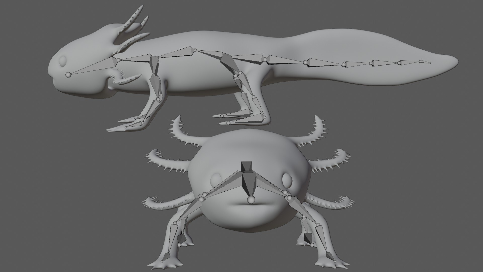 Axolotl 3D Model - TurboSquid 1737422
