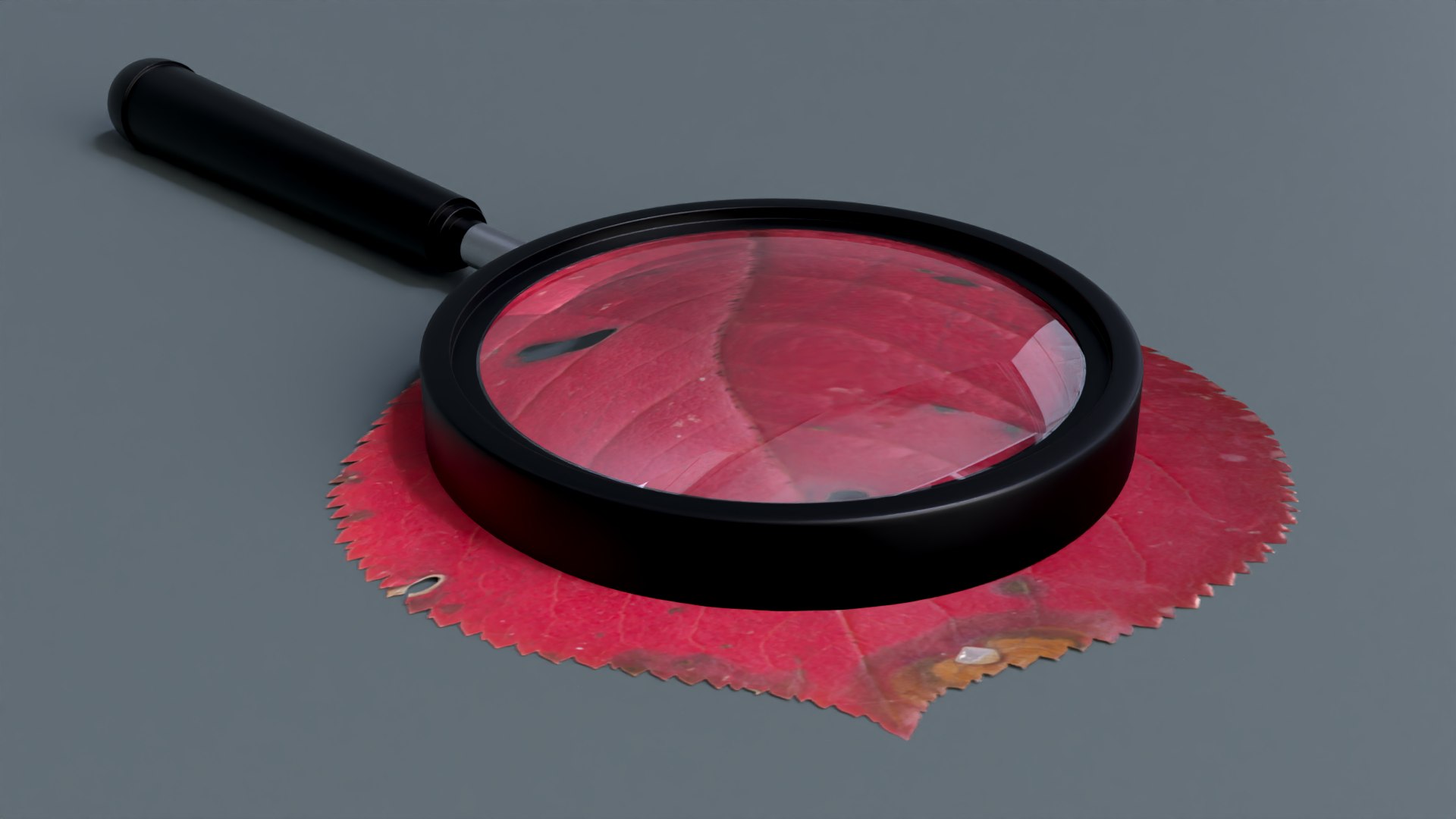 3D Magnifying Glass - TurboSquid 2074149