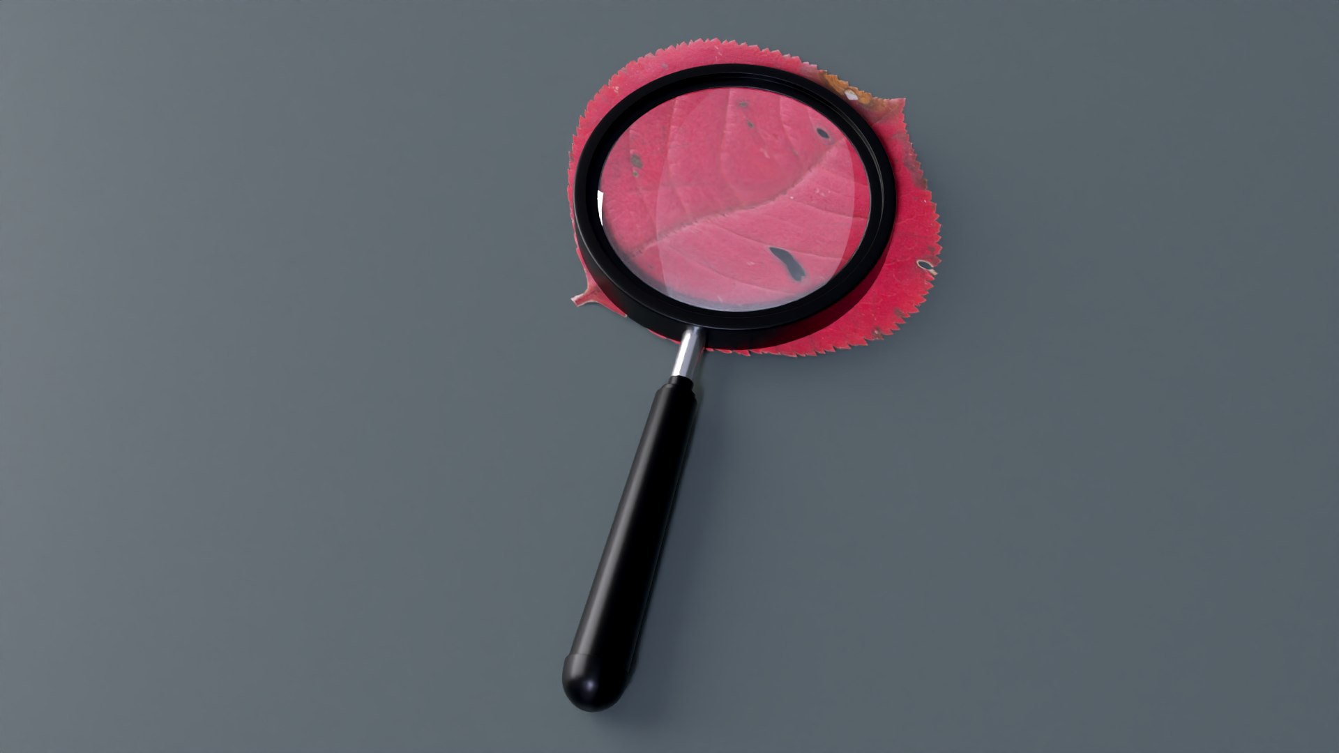 3D Magnifying Glass - TurboSquid 2074149