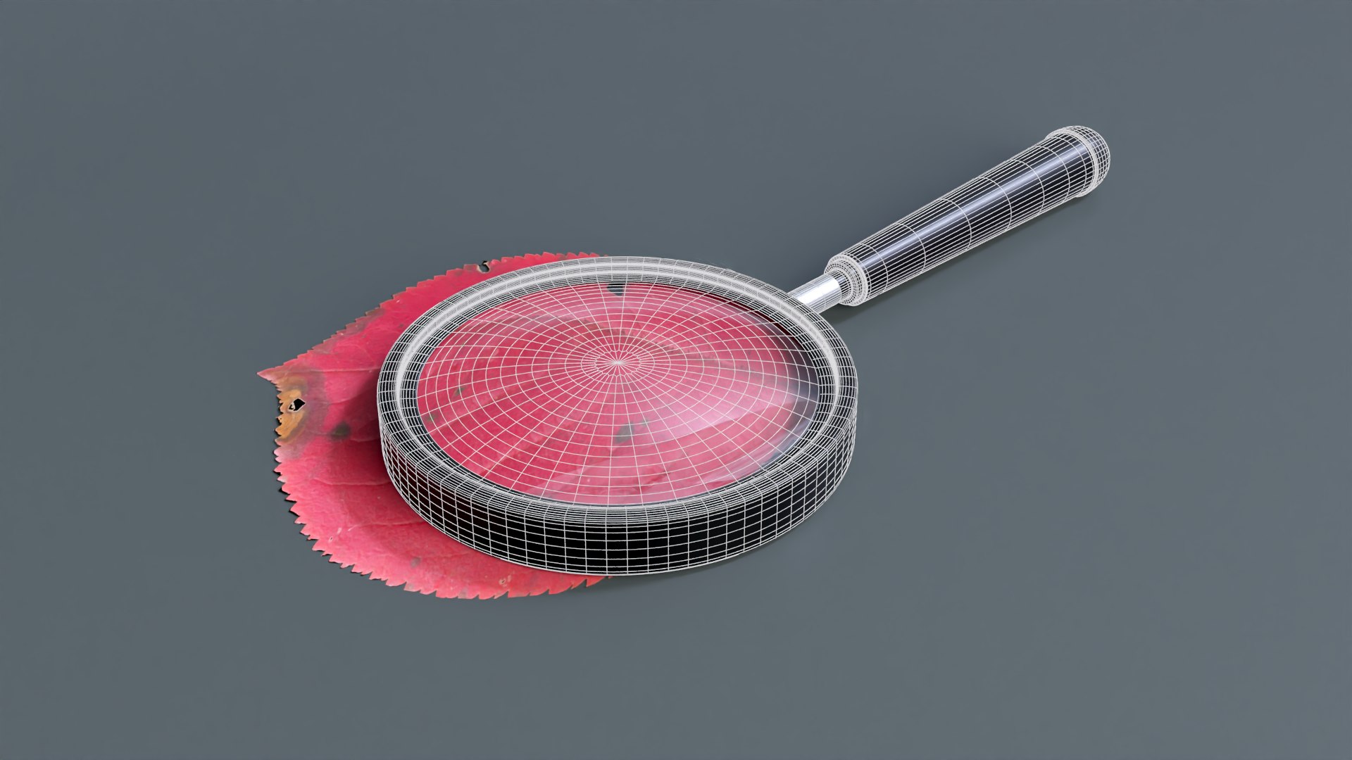 3D Magnifying Glass - TurboSquid 2074149