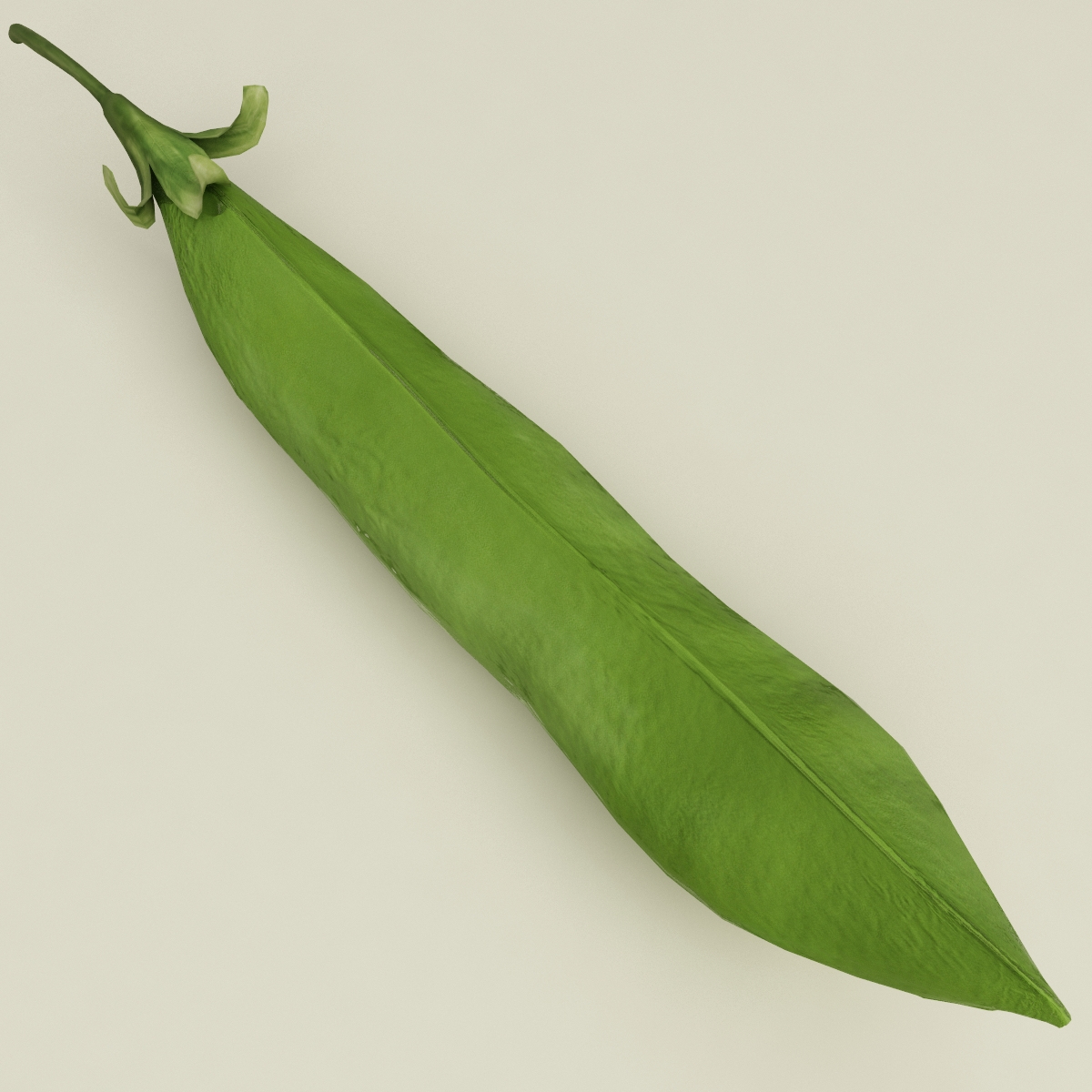 pea modelled 3d model