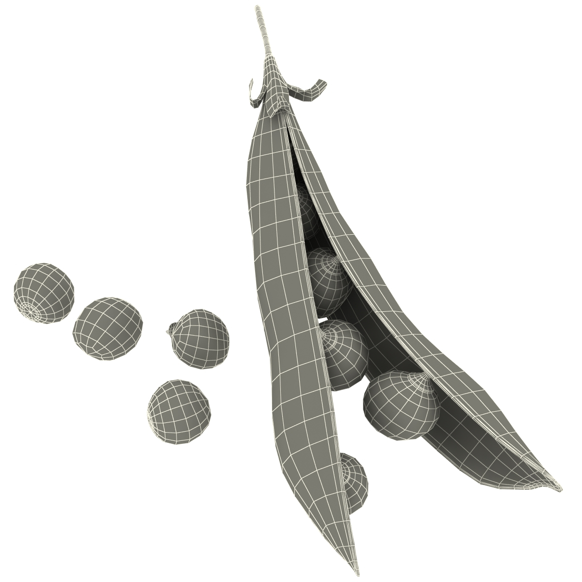 pea modelled 3d model