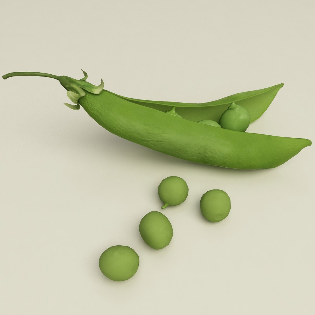 Pea Modelled 3d Model