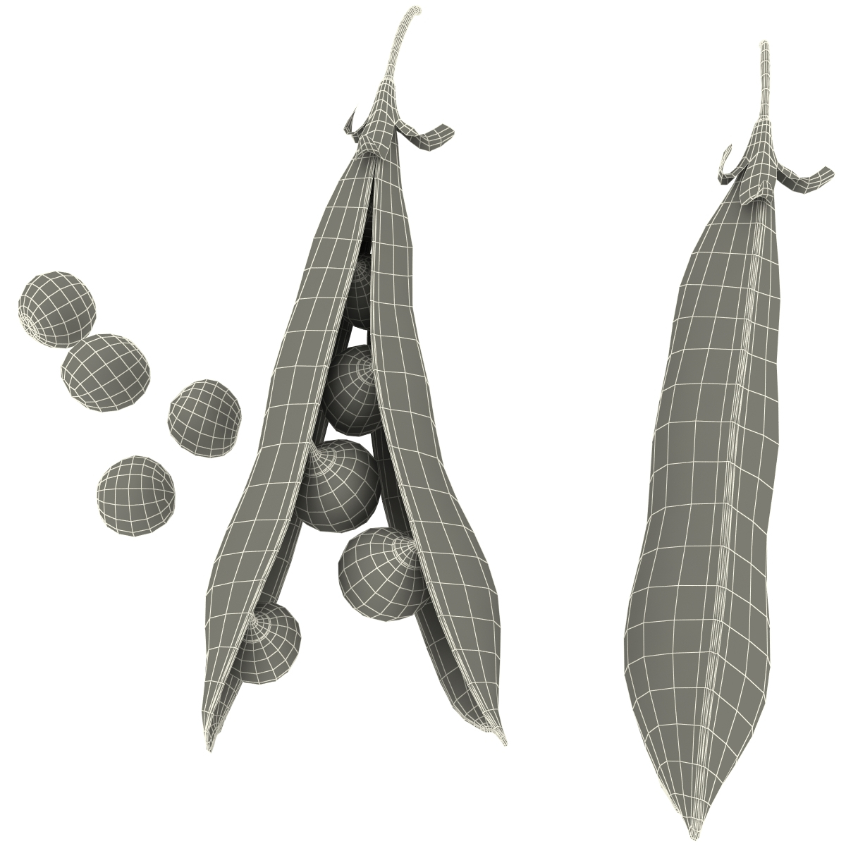 pea modelled 3d model