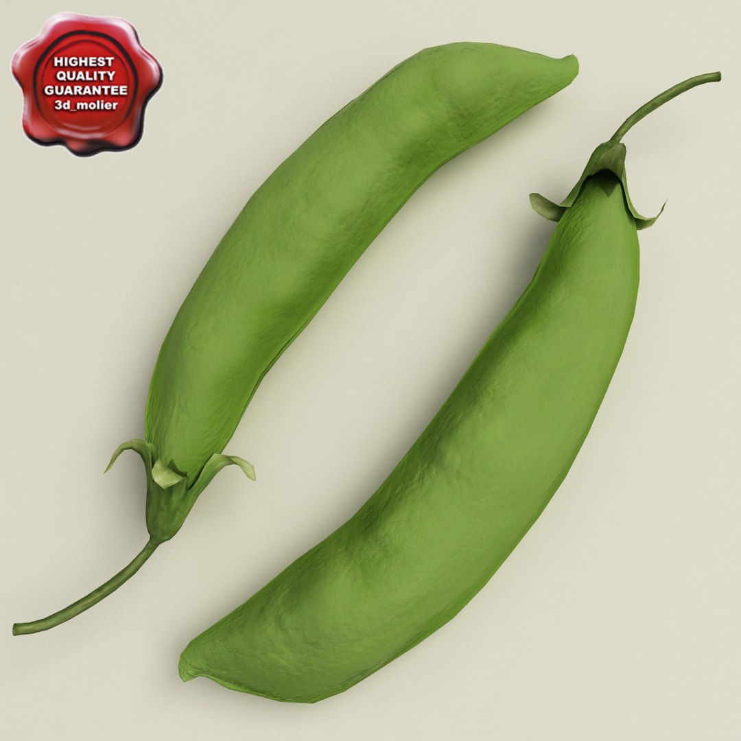 Pea Modelled 3d Model