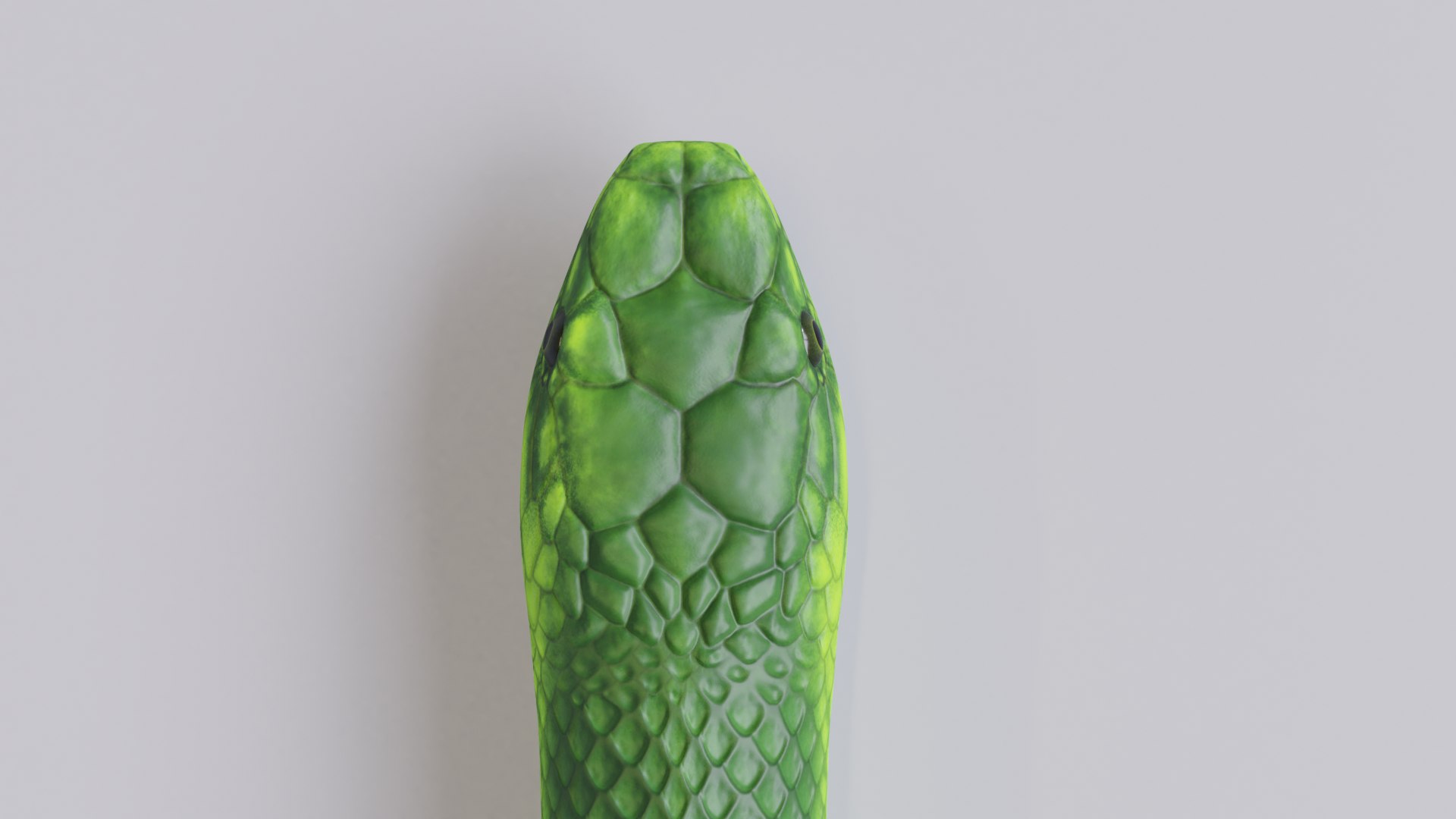 3D Green Mamba - TurboSquid 1264186