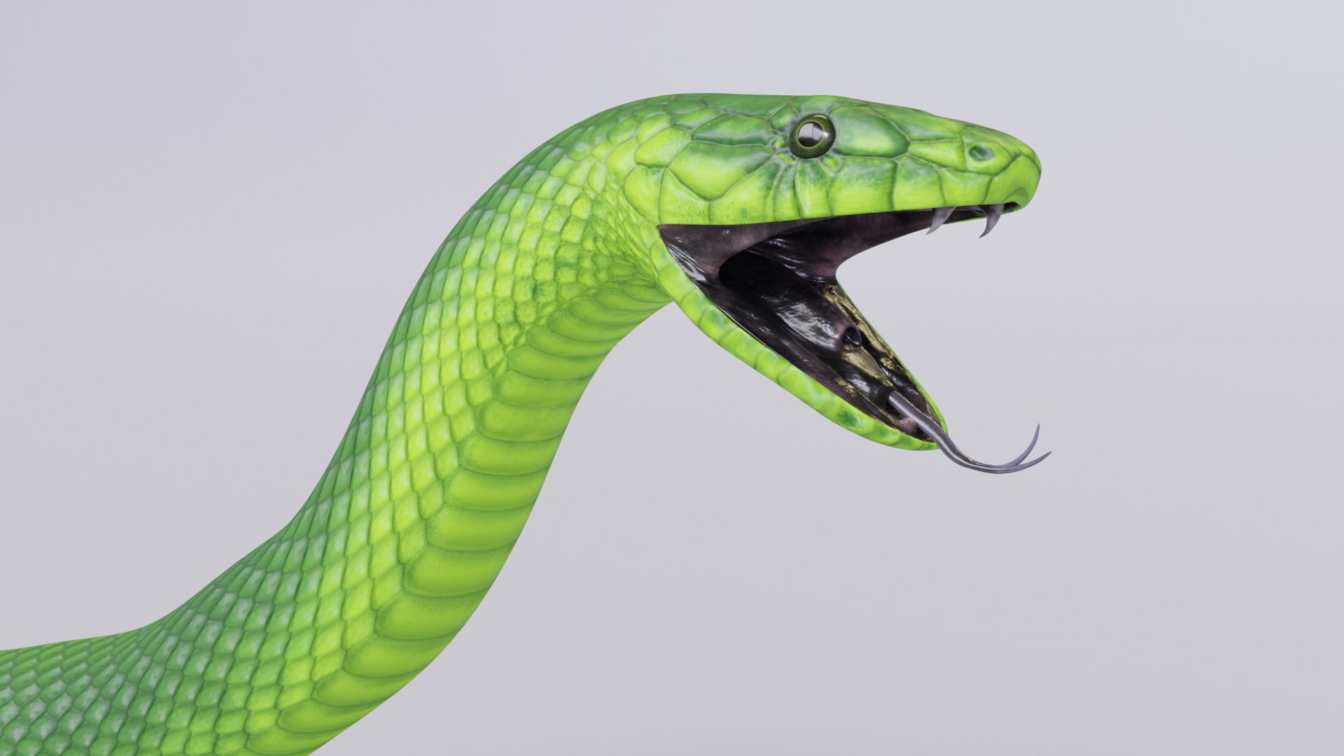 3D green mamba - TurboSquid 1264186