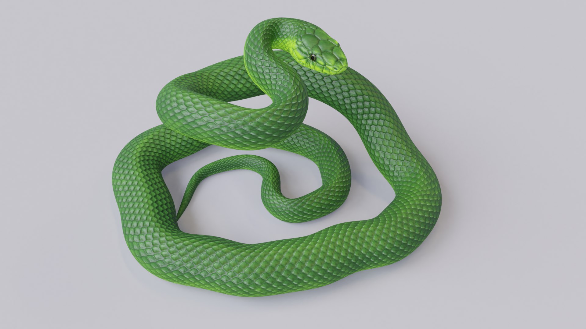 3D Green Mamba - TurboSquid 1264186