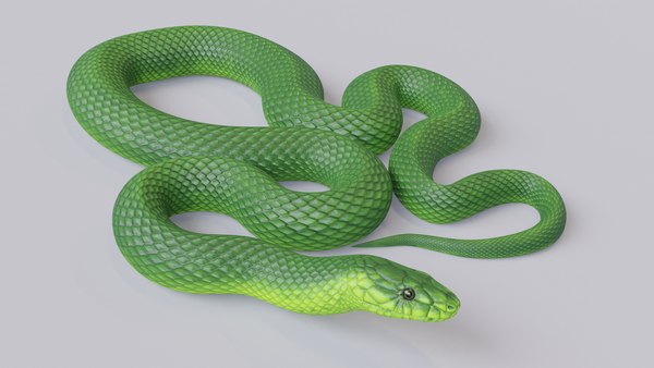 3D green mamba - TurboSquid 1264186