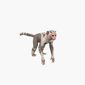 3D Monkey Models | TurboSquid