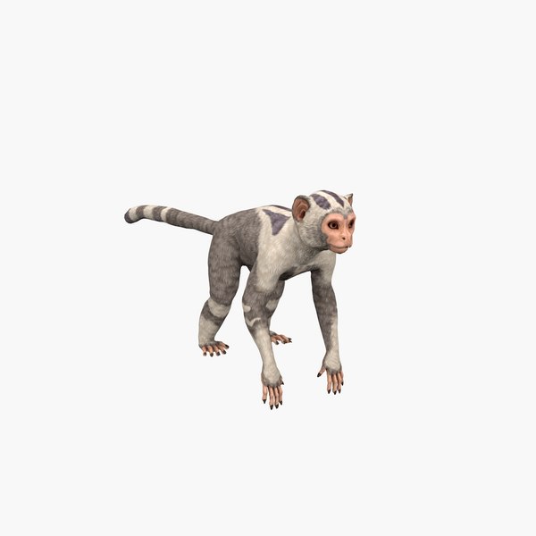 3D Monkey Models | TurboSquid