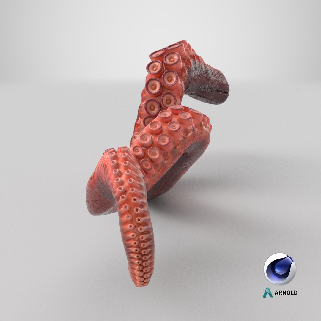 3D Octopus Arm Marine Animal Orange - TurboSquid 2517026