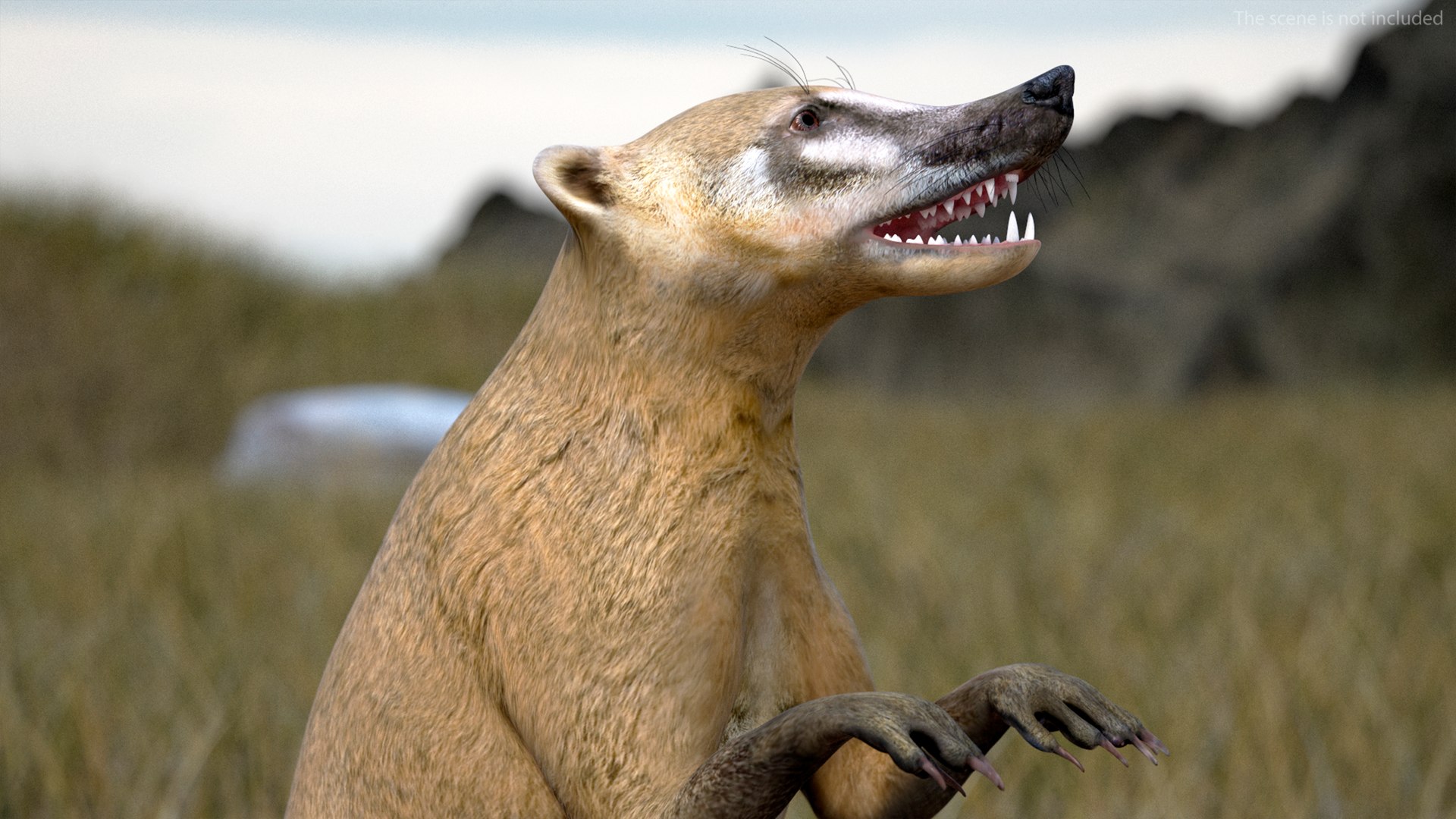 3D South American Coati Rigged For Maya Model - TurboSquid 2223707